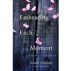 Embracing Each Moment: A Guide to the Awakened Life