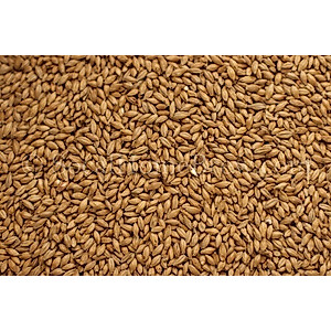 Maris Otter Malt (10 lb)