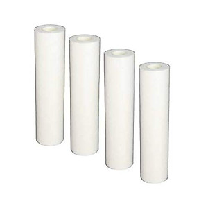 Watts Premier 560035, 5-Micron Sediment Replacement, 2-Pack