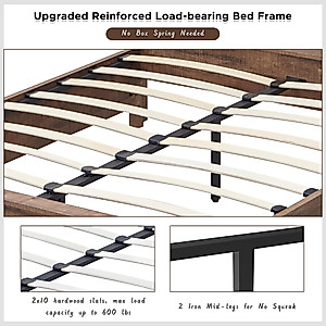 ACCOHOHO Farmhouse Queen Size Bed Frame with 52" Tall Full-Panel Headboard & Footboard, Queen Platform Bedframe with Storage Drawers, Wood Panel Bed Base, No Squeak, No Box Spring Needed, Light Brown