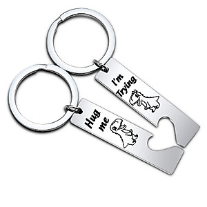 Dinosaur Couple Gift Dinosaur Puzzle Keychain Set Dino Fans Gift BFF T Rex Dinosaur Gift (Hug me I'm Trying set)
