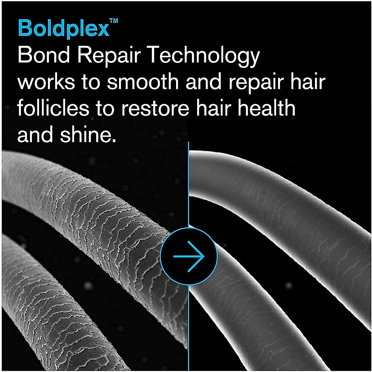 BoldPlex Complete Collection for Dry, Damaged Hair - Bundle Includes Bond Restore Treatment, Shampoo & Conditioner, Hair Serum, and Hair Oil - Repair, Condition, Hydrate, and Protect all Hair Types
