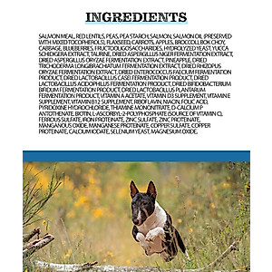 Horizon Pet Nutrition Pulsar Grain Free, Non GMO, Meat Dense All Life Stage Dry Dog Food, 25 lb, (HRN-012)