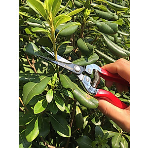 gonicc Professional Hori Hori Garden Knife with Leather Sheath and Micro-Tip Pruning Snip (GPPS-1008), Protective Handguard, High polished 440 Stainless Steel Blade, Sharpening Stone Included.