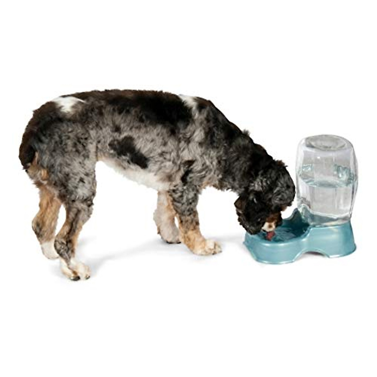 Petmate Pet Cafe Waterer Cat and Dog Water Dispenser 4 Sizes, Pearl White