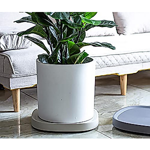 MYBAQ,Plant Tray with Wheels,Planter Caddy with Wheels,Plant Rollers for Outdoor Plants,Plant Caddy,Plant Roller Base,White,Suitable for Home, Living Room, Balcony, Patio and Garden