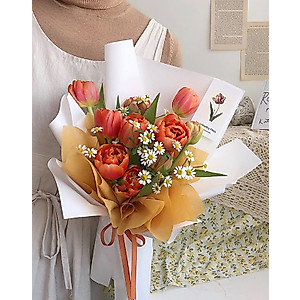 Korean Cotton Wrapping Flower Paper Non-Woven Floral Wrapping Paper 10 Sheets Florist Supplies Waterproof Flower Bouquet Wrapping Paper Floral Supplies for Fresh Flowers, 23.6x23.6 Inch (Khaki)