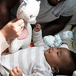 Ingenuity Premium Soft Mini Bean Bag Plush, Nate The Teddy Bear, Ages Newborn and up.