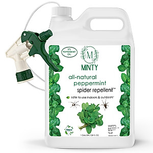 Minty Spider Repellent, Natural 5% Peppermint Oil Spray, Kills & Deters All Types of Spiders and Insects, Indoor and Outdoor Use, 128 fl oz Gallon