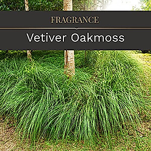 CLCo. by Candle-Lite Company Vetiver Oakmoss Single-Wick Scented Jar Candle, 14 oz, White