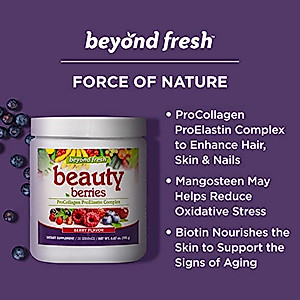 Beyond Fresh Beauty Berries, Procollagen and Proelastin Complex, Healthy Skin, Hair & Nails, Powerful Antioxidants, Berry Flavor, 6.87 Ounce (N12556)