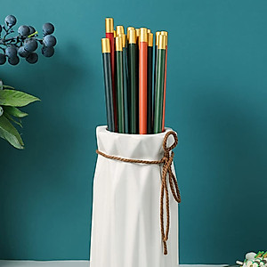 Limoer Reusable Chopsticks Non-Slip Chop Sticks Set Fiberglass Chinese Japanese Style, 5 Pairs Different colors 9.8 Inch, Multicolor (CP0001-9.8)