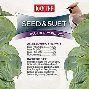 Kaytee Seed & Suet No Mess Blend Blueberry Flavor 10 Pounds