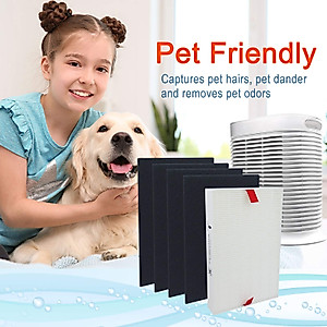 Flintar HPA100 H13 True HEPA Replacement Filter A/R Combo Pack, Compatible with Honeywell Air Purifier HPA100, HPA094, HPA3100, HPA5100 Series, True HEPA Filter R + 4 Pre-Cut Carbon Pre-Filter A