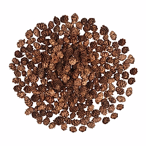 200PCS Christmas Natural Pine Cones Mini Pine Cones Fall Decorations Pinecones Ornaments Bulk Small Pine Cones for DIY Crafts Thanksgiving Fall Winter Christmas Wedding Decor Vase Filler Decor