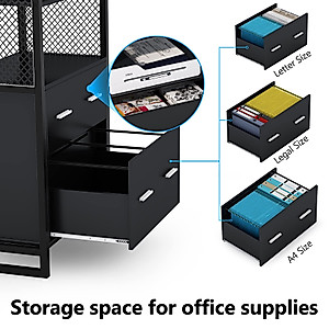 LITTLE TREE 2 Drawers Vertical Office File Cabinet