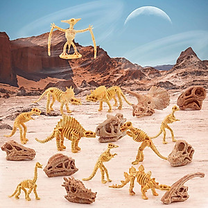 Dinosaur Head Skeleton Golden Dino Fossil Assorted Bones Playsets 23 PCS Action Figures Model Toys for Kids