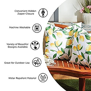 DII Throw Pillow Cover Collection Outdoor Water Repellent Polyester, Reversible, 18x18, Lemon Bliss, 2 Piece