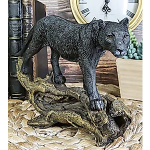 Ebros Gift Black Panther Cougar Prowling On Distressed Tree Log Figurine 8" Long Wildlife Black Jaguar Ghost Forest Hunter Sculpture Home Decorative Accent