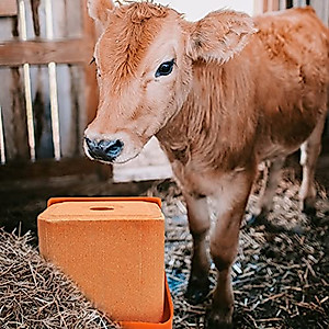 POPETPOP Cattle Salt Block Feeder, Livestock Salt Block Box Mineral Salt Block Holder Supplement Feeder for Horses, Goats, Sheep