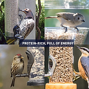 EasyGoProdcuts Sunflower Kernels – Medium Sun Flower Wild Bird Seed Chips 50 lb