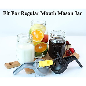 Mason Jar Pour Spout Lids With Handle Regular Mouth Mason Pitcher Lid With Flip Cap Airtight & Leak-Proof Pour Lid,Turns your Mason Jar into Pitcher (Jar Not Included)