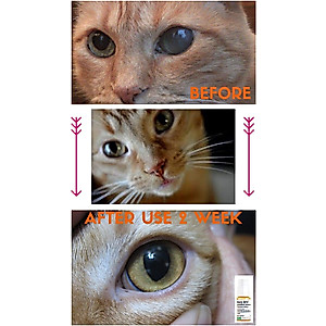 (Pack of 2) x 10ml Kary UNI Pet Eye Drops Cataracts & Gentle Formula, Promotes Eye Clarity & Dryness Eye in PPL Pets & All Animals Dogs, Cats Pet Care Eye Ointment Drops