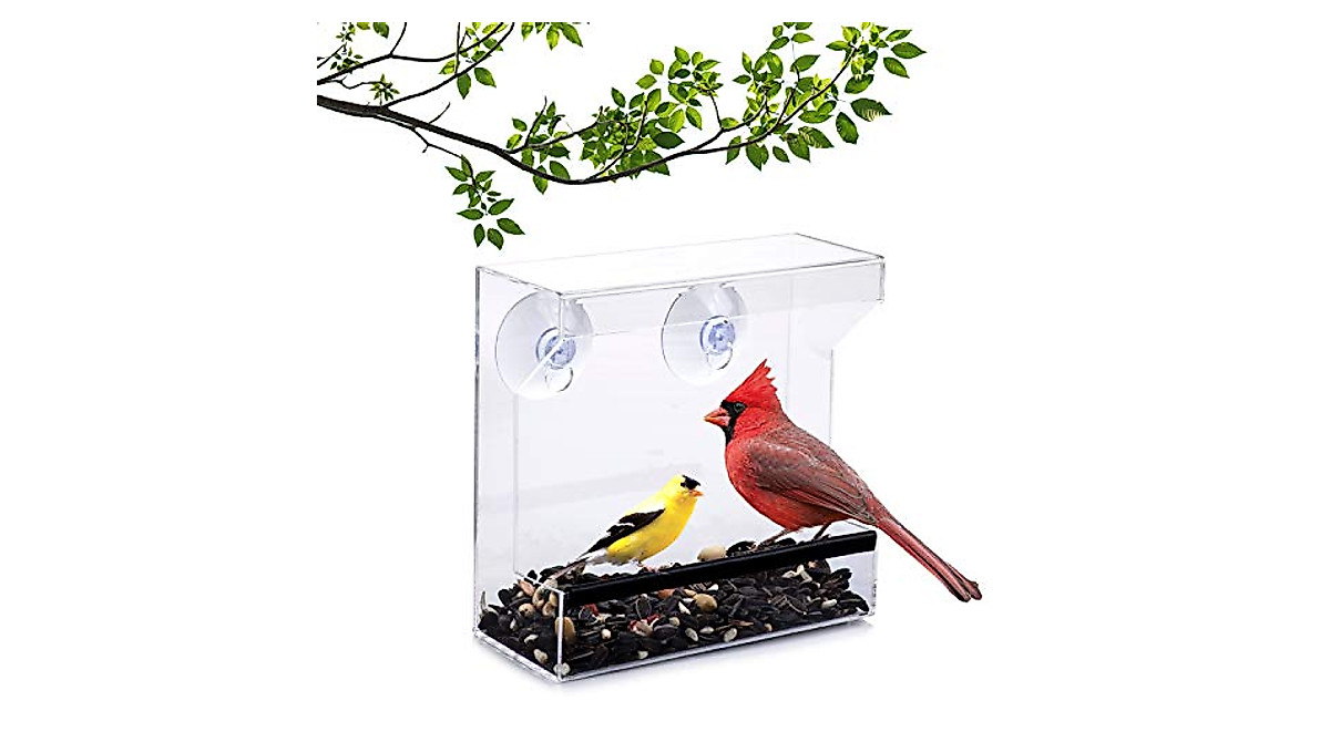 Wild Birds of Joy Window Bird Feeder with Suction Cups & Seed Tray