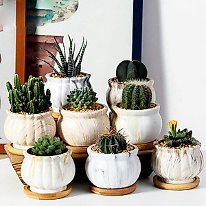 Happyyami 8Pcs Ceramic Succulent Plant Pot planters for Indoor Plants Bonsai Planter Bowl Round Potting Pot Decorative Planter Home Decoration Creative Flower Pot Wooden Household Container