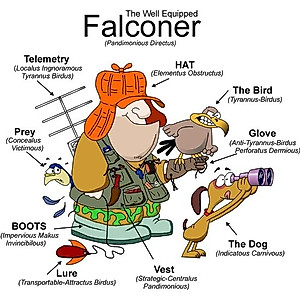 CafePress The Falconer Mug Ceramic Coffee Mug, Tea Cup 11 oz