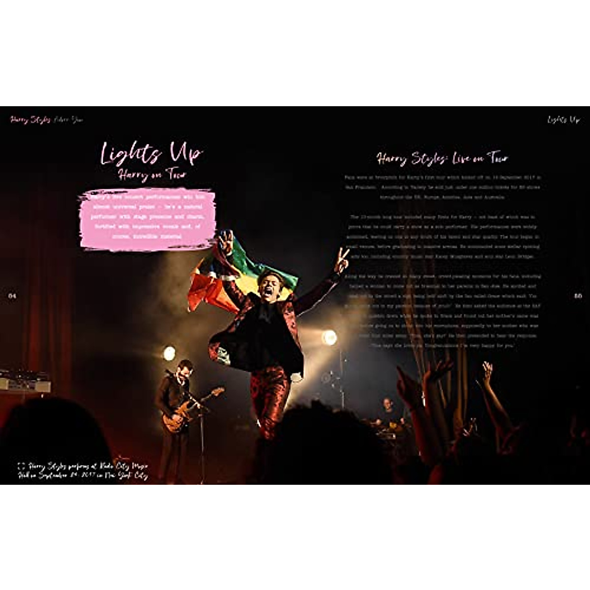 Harry Styles: Adore You: The Illustrated Biography