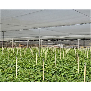 Cafe Crema Medium Roast Ground Puerto Rican Coffee, 14 Ounce Bag (Pack of 2)