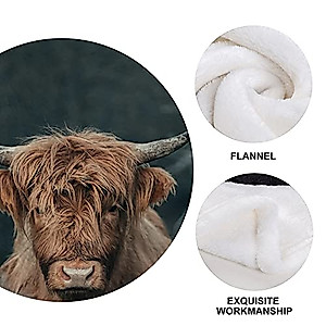 LEOPLESIC Ultra Soft Flannel Brown Cow Throw Blanket,Highland Cattle Landscape Rustic Farmhouse Cow Landscape Lightweight Cozy Sherpa Bed Blanket 50"x40"，(Gray, Brown)