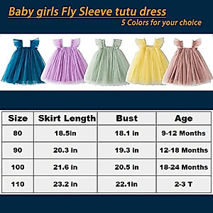 Baby Girls Layered Fly Sleeve Tutu Dress Casual Party Tulle Tunic Dresses Light Green 9-12 Months