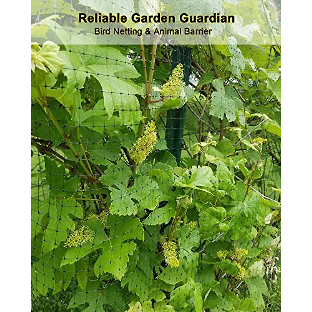 KLEWEE Bird Netting, 7.5 x 100 FT Heavy Duty Garden Netting for Protect Fruit Trees, Plants and Vegetables Against Birds, Deer, Squirrels and Other Animals