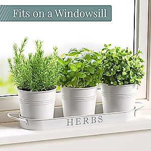Barnyard Designs Farmhouse Herb Garden Planter Indoor Planter Set with Tray or Outdoor Apartment Window Planter Box, Windowsill Planter Box, Indoor Herb Planter Garden Pots Herb Pots, White, Set/3