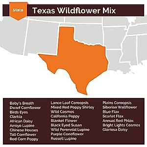 Texas Wildflower Seed Mix - 5 Pounds - Mixed Wildflower Seeds, Attracts Bees, Attracts Butterflies, Attracts Hummingbirds, Attracts Pollinators, Easy to Grow & Maintain, Cut Flower Garden