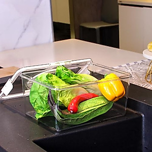 Fruit Storage Containers for Fridge with Lid: Produce Food Fresh-Keeping Colanders with Handles, Refrigerator Organizer Corn Pepper Berry Vegetable Veggies Fruits Saver with 4 Compartments Storage