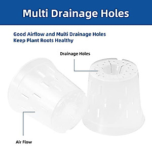 TRUEDAYS Clear Orchid Pot (4-Pack) - 6 inch Orchid Pots with Holes - Plastic Plant Pots for Orchid, Plants, Flower