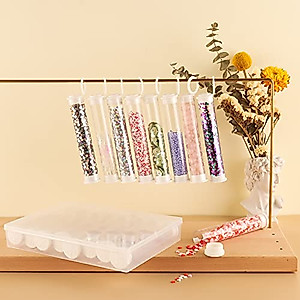 10 PCS Clear Plastic Tube Bead Containers,Transparent Plastic Empty Storage Tube Bead Container Set Organizer Boxes with Lid Test Bottles Clear Embellishment Storage Tubes for Crafts Storage Projects