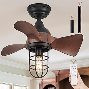LEDIARY 23" Farmhouse Ceiling Fans with Lights - 6 Speeds Caged Ceiling Fan with Light, Small Ceiling Fan with Remote Control, Time Setting, 3 Reversible Blades for Indoor/Outdoor (Bulb Not Included)