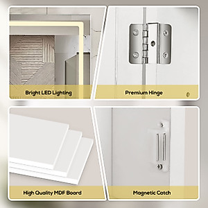 VOWNER Bathroom Medicine Cabinet with LED Lights and Mirror, Wall Mounted Mirror Cabinet with Adjustable Shelf, Defogger, Memory 3-Color Mode, Dimmer, Anti-Fog (Engineered Wood, 24"×32")