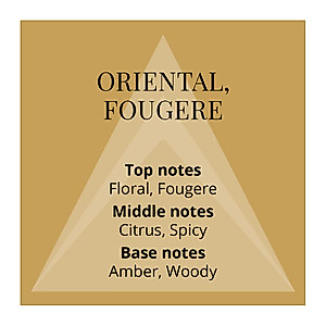 COLOUR ME Gold Homme by Milton-Lloyd - Perfume for Men - Spicy Aromatic Fragrance - Notes of Spices, Leather, Patchouli, and Amber Notes - Cologne for Men - 1.7 oz EDP Spray