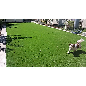 Artificial Turf Broom