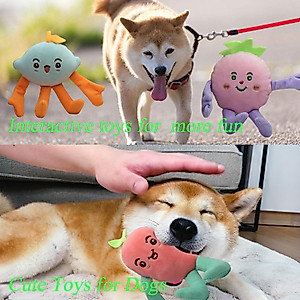 YUNKINGDOM Cute Carrot Fruits Dog Squeaky Toys Dog Toy for Pet Puppy Small Dog (Pack for 13)