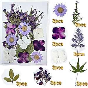 Fbrand 180 Pieces of Real Dry Embossed Flowers with Plant Petals Used for Scrapbook Supplies Card Making Nail Art Picture Frame Decoration soap and Candle
