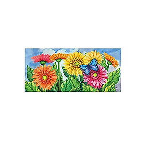 Evergreen Sassafras Gerbera Daisies Interchangeable Entrance Doormat | Indoor and Outdoor | 22-inches x 10-inches | Non-Slip Backing | All-Season | Low Profile | Home Décor