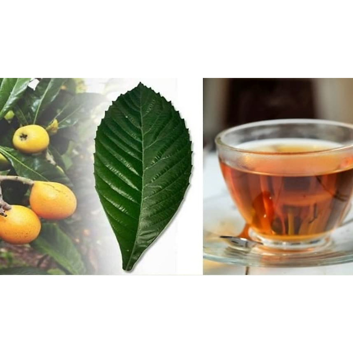 Yerbero - Te Herbal Hojas De Nispero 2oz (58gr) Herbal Tea (Loquat Leaves Tea) Stand Up Resealable Bag Crafted By Nature100% All Natural Fresh Tea Tea | Non-GMO |Gluten-free.