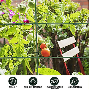 Xiny Tool 126pcs Garden Stakes Set, Includes 50Pack 17" Garden Poles, Tomato Climbing Plant Trellis Plant Climbing Frame for Vegetables Cucumber Fences Beans Outdoor Gardening
