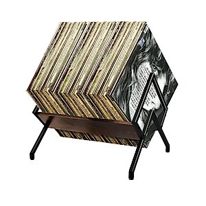 WonYins Vinyl Record Storage Holder, Holds 85-110 Vinyl Records, Magazine Holder, Vinyl Records Albums Vinyl Record Storage Rack Black